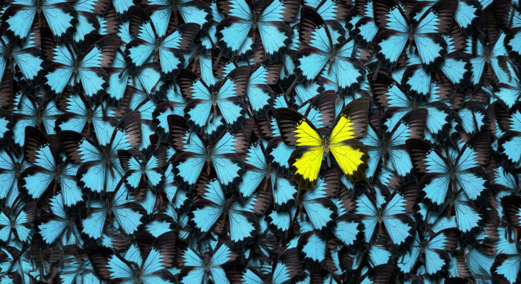 Maatwerk website laten maken Groningen - TRGR